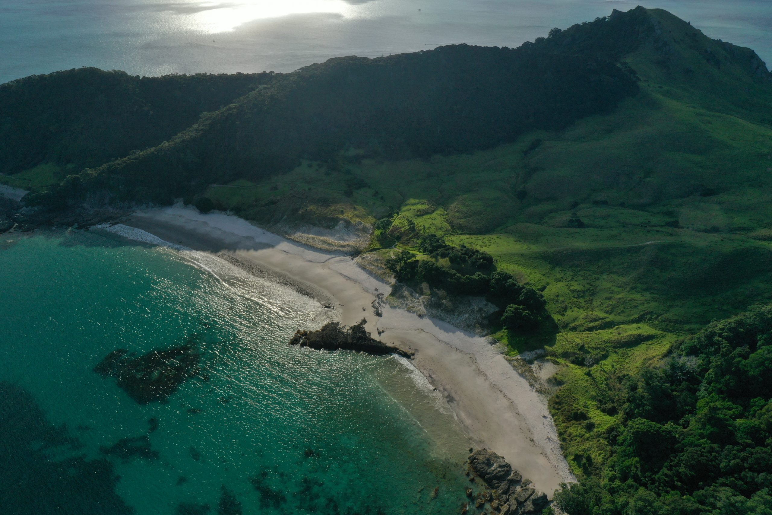 Channel Infrastructure releases blueprint for lower-carbon energy ...